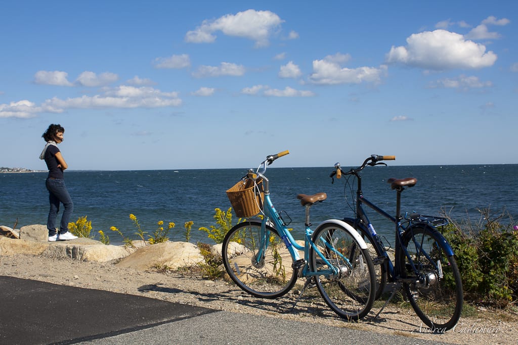 Vacation Rentals in Chatham MA – Vacation Rentals